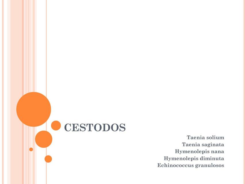 Cestodos | Miriam | uDocz