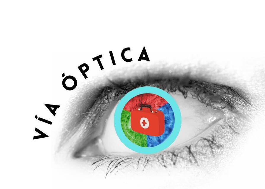 Vía Óptica o Visual - Flashcards | Experiencia Médica | uDocz