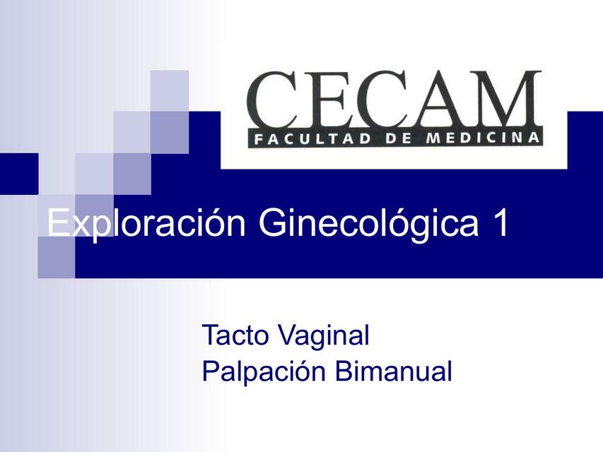 Exploración ginecológica | IOVANNY CRUZ OJEDA | uDocz