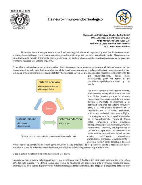 Eje neuroinmunoendocrinológico resumen | IOVANNY CRUZ OJEDA | uDocz