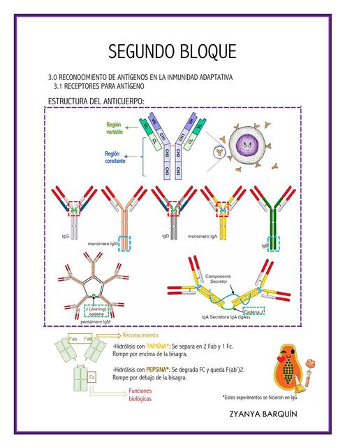Resumen segundo bloque inmunología | IOVANNY CRUZ OJEDA | uDocz