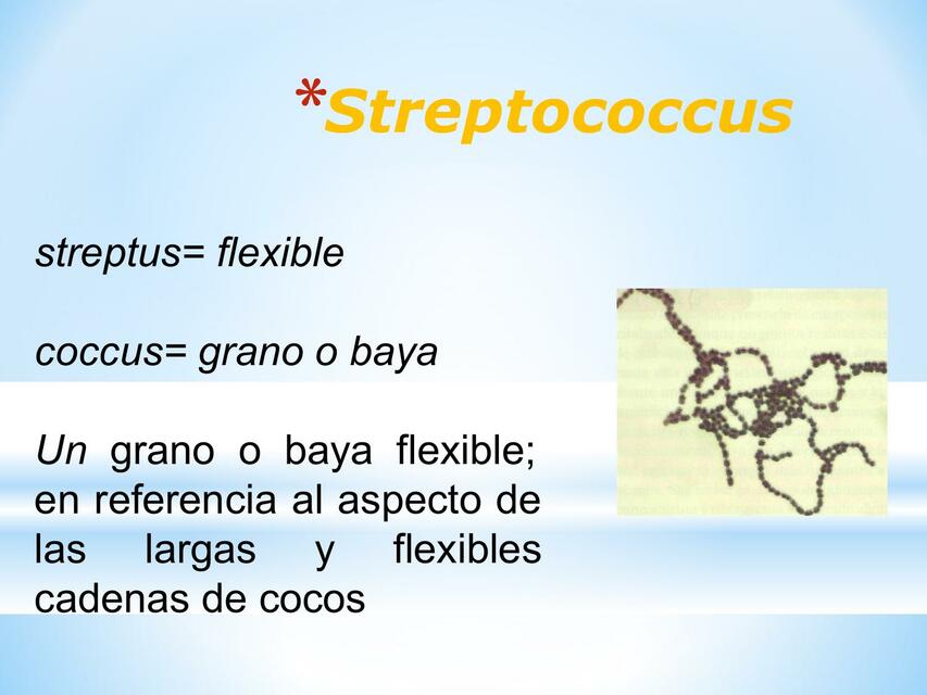 Clase S. pyogenes | IOVANNY CRUZ OJEDA | uDocz