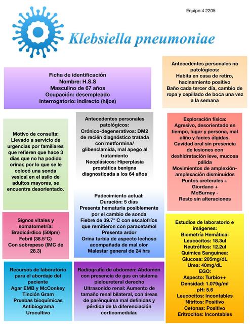 Practica de laboratorio Klebsiella pneumoniae | IOVANNY CRUZ OJEDA | uDocz