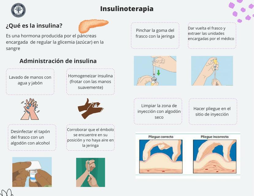 Insulinoterapia | constanza catalán | uDocz