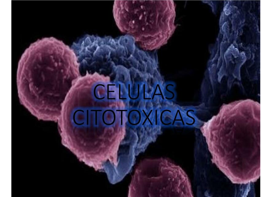 Inmunologia II | uDocz