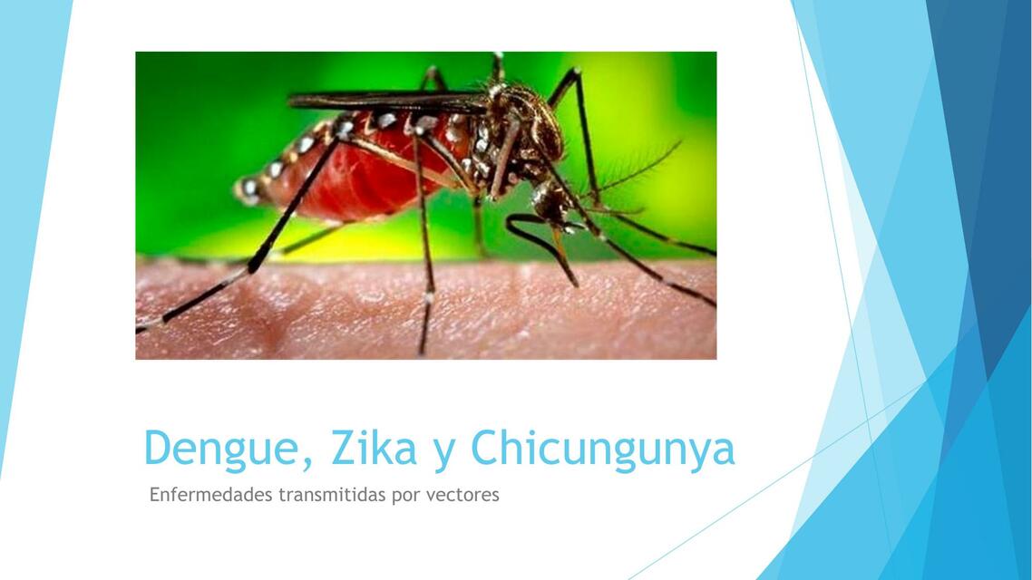 Dengue, Zika, y Chicungunya | alejandra mendoza | uDocz