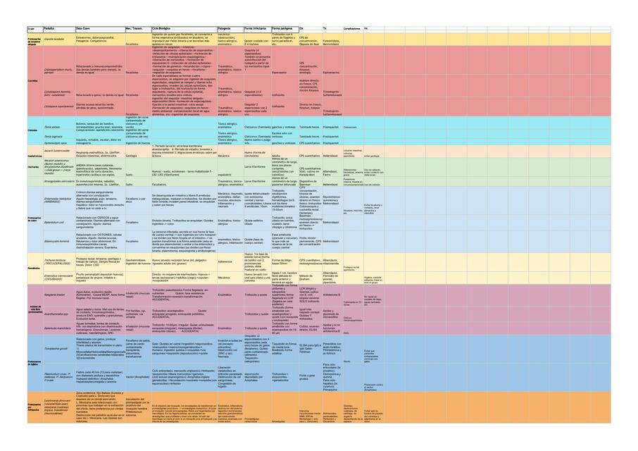 Tabla de Parásitos | IOVANNY CRUZ OJEDA | uDocz