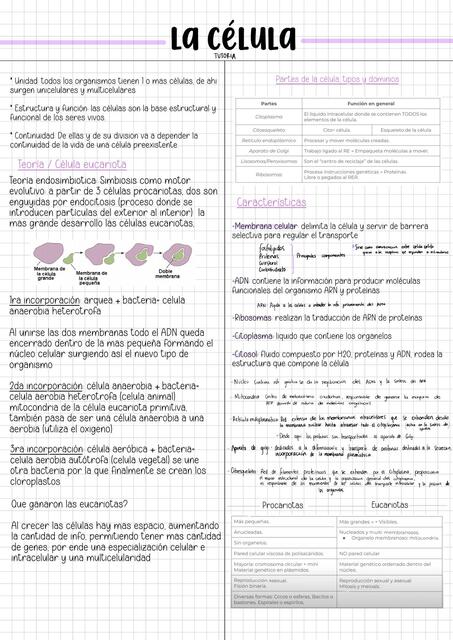 La célula | | uDocz