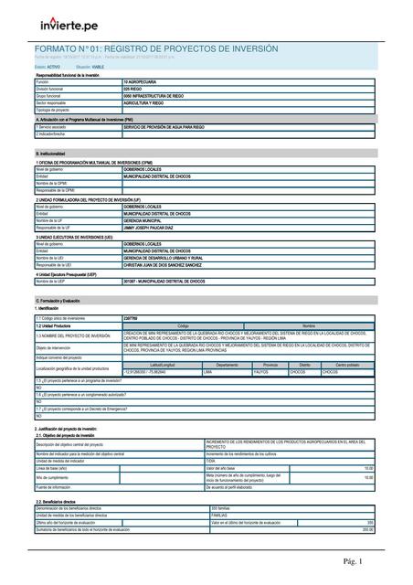 CUI 1 GL Formato 7 A Inviertepe