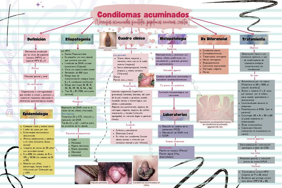 Condilomas acuminados | LISBETH ASPRILLA | uDocz