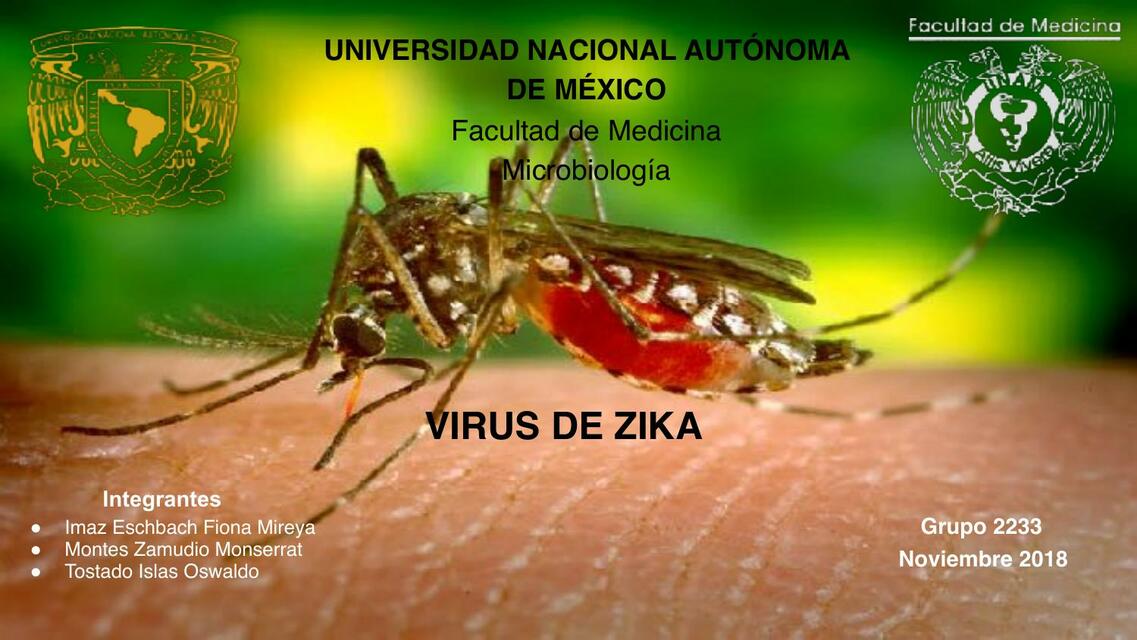 Virus de Zika clase | IOVANNY CRUZ OJEDA | uDocz