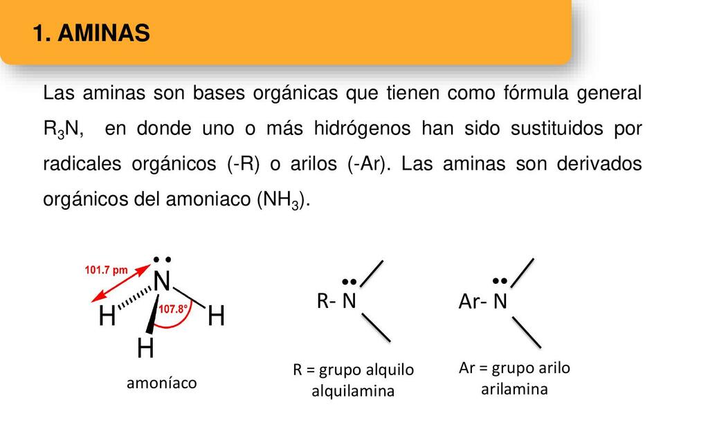 Aminas | samsstudy | uDocz