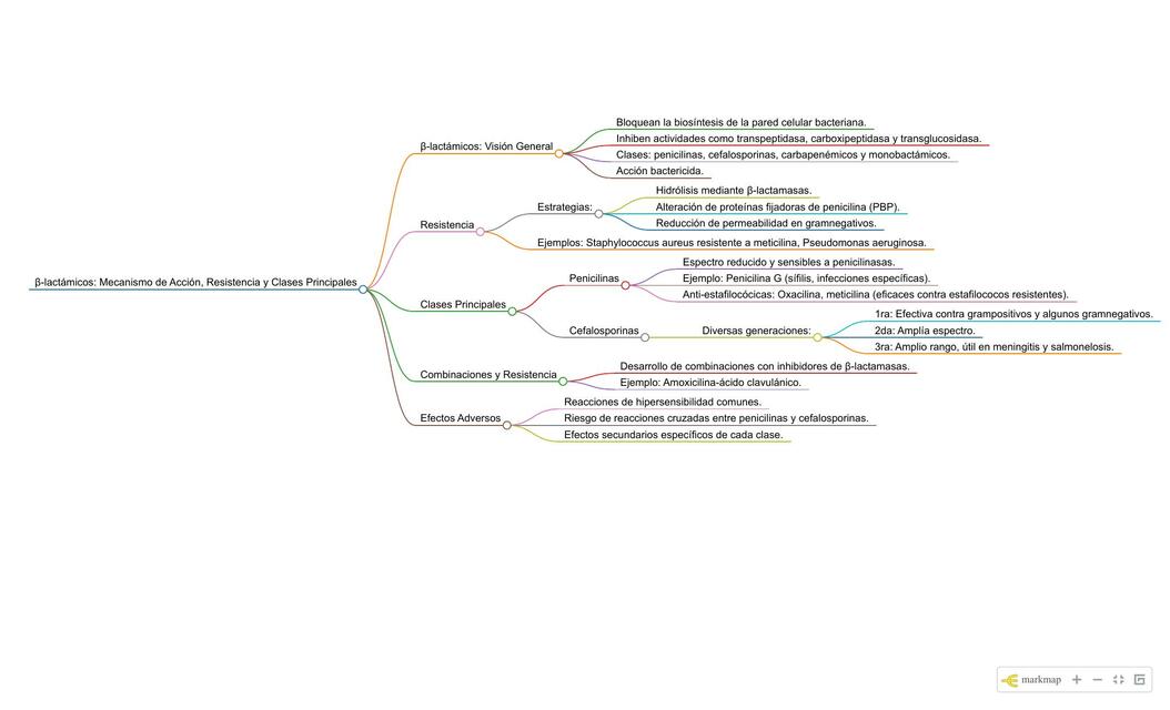 B lactamicos mapa | Sharon Velazquez.A | uDocz