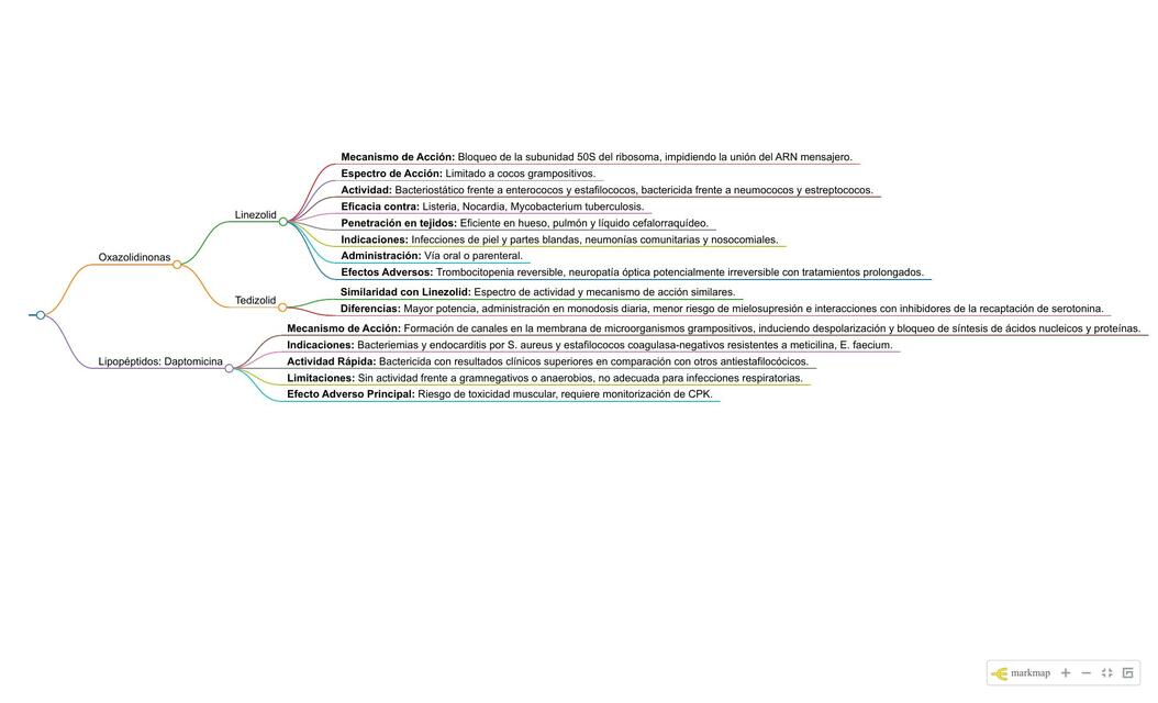 Oxazolidinonas-Mapa | Sharon Velazquez.A | uDocz