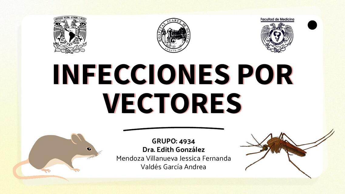 Infecciones Transmitidas por Vectores | Jessy González | uDocz
