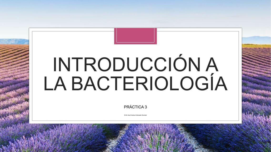 IntroducciÓn A La BacteriologÍa Clase Iovanny Cruz Ojeda Udocz