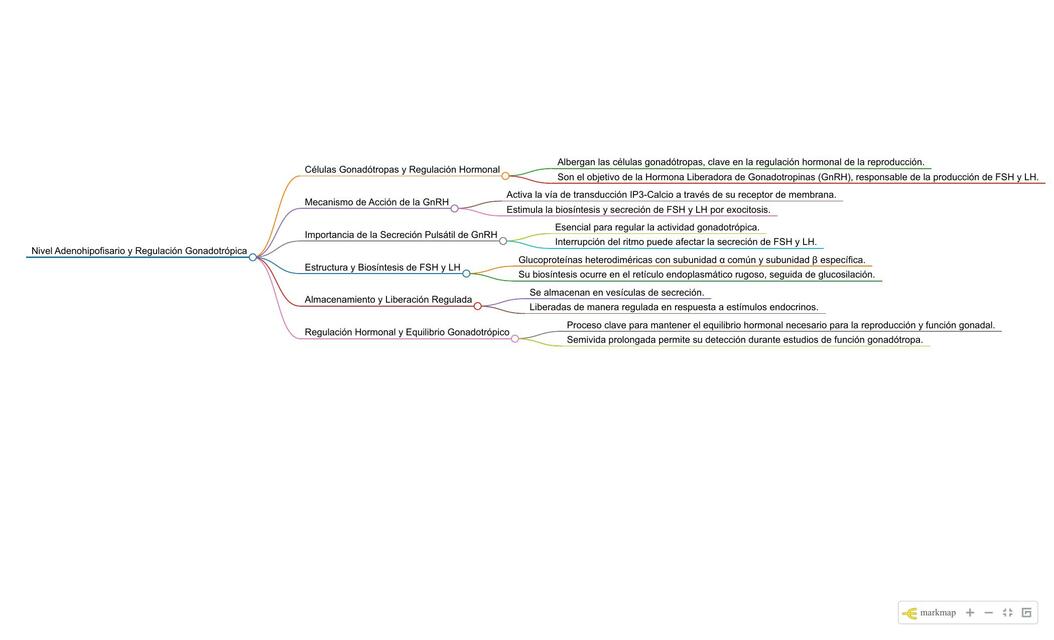 Nivel adenohipofisis MAPA | Sharon Velazquez.A | uDocz