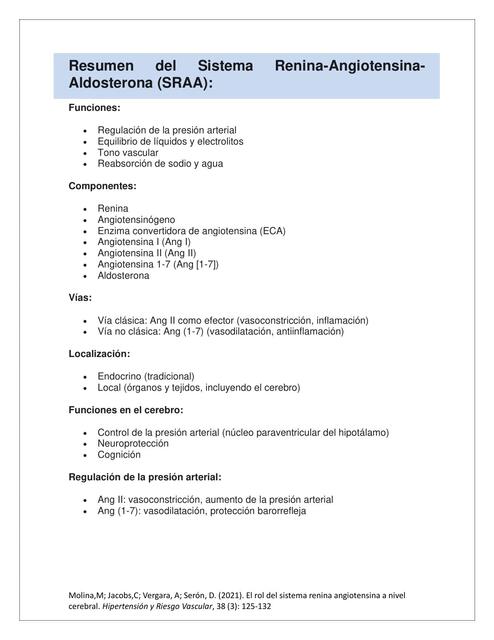 Resumen del Sistema Renina-angiotensina- Aldosterona (SRAA) | Sharon ... Resumen del Sistema Renina-angiotensina- Aldosterona (SRAA) | Sharon ...