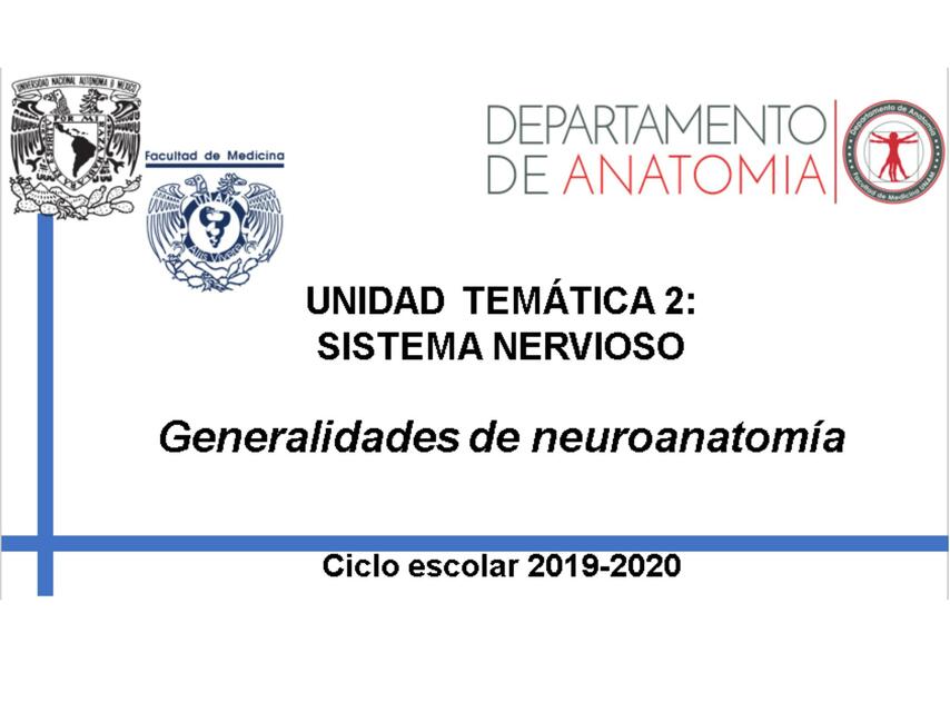 Generalidades neuroanatomía | Jessy González | uDocz