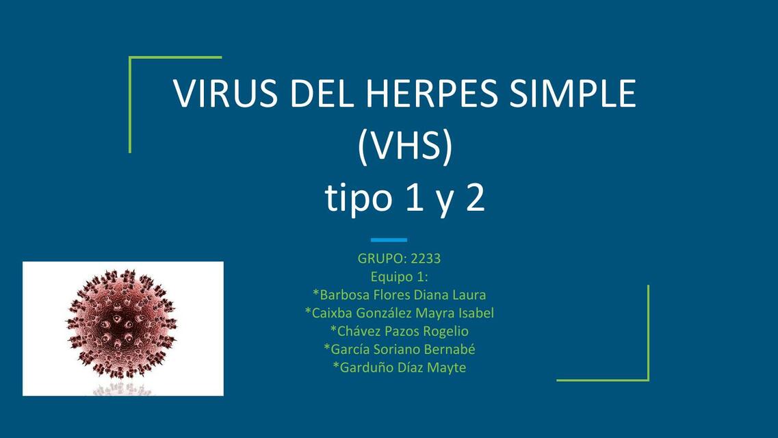 Virus del herpes simple (VHS) tipo 1 y 2 clase | IOVANNY CRUZ OJEDA | uDocz