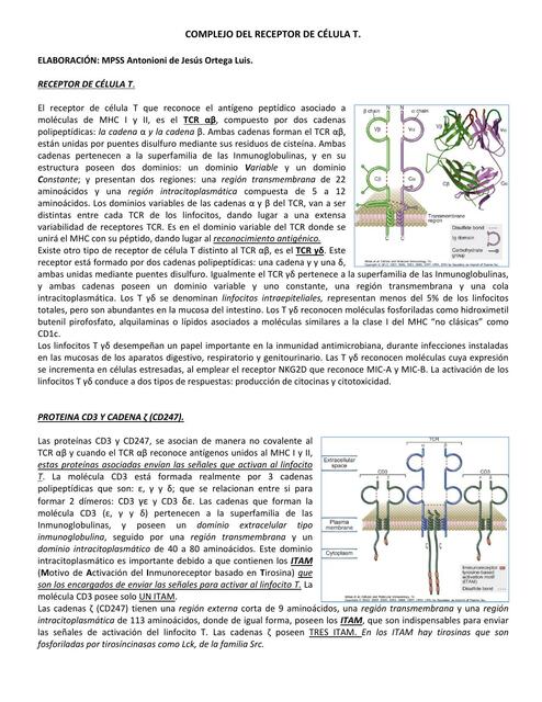 Complejo del receptor de célula t. | IOVANNY CRUZ OJEDA | uDocz