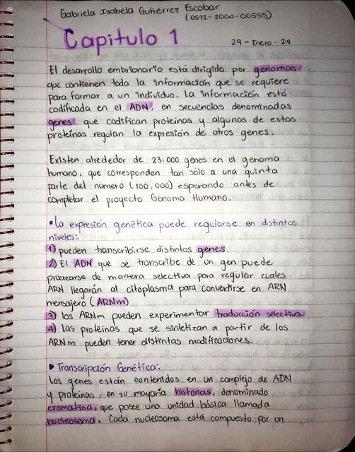 Resumen Capítulo 1 | Gabriela | uDocz