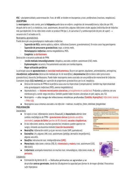 Resumen del libro anatomia patologica Robbins capitulo 8 | IOVANNY CRUZ ...