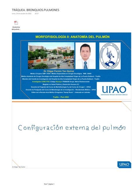 Anatomía del pulmón | Azulmed💙 | uDocz