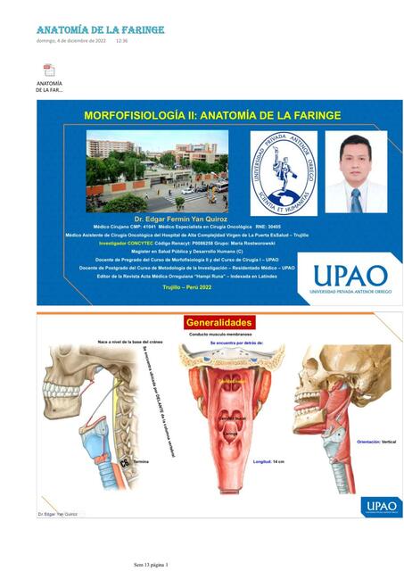 ANATOMÍA DE LA FARINGE | Azulmed💙 | uDocz