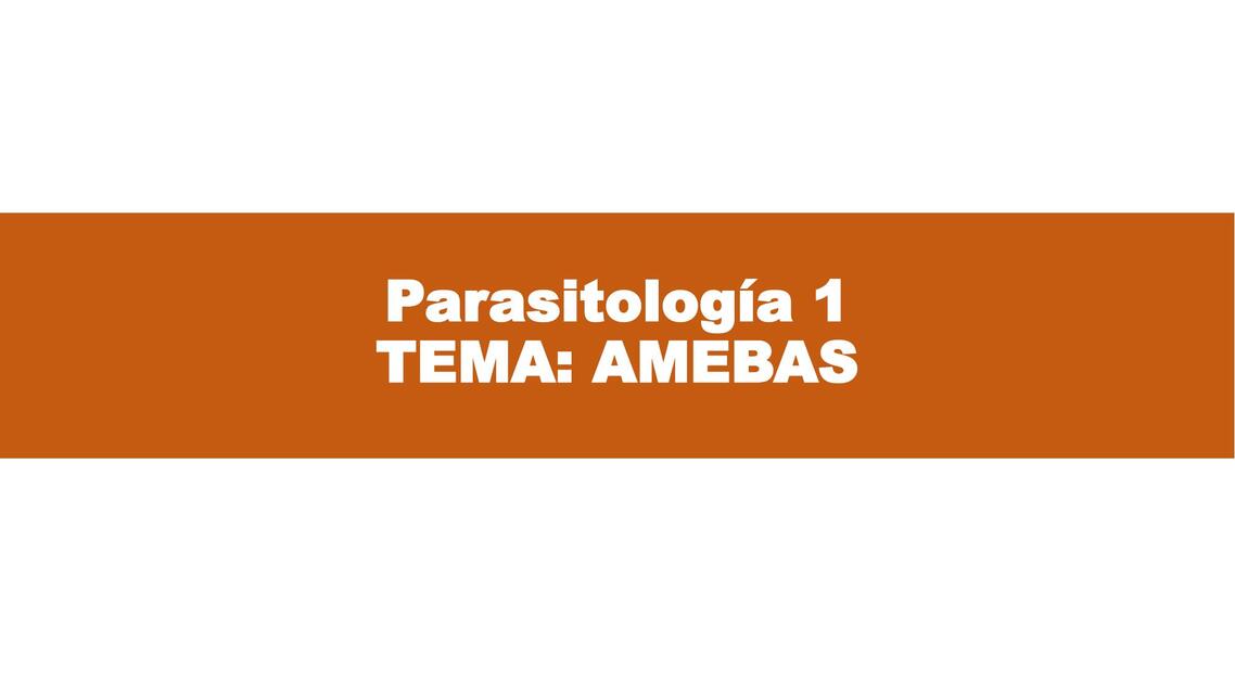 Amebas Parasitología 1 | Genesis Aguilar | uDocz