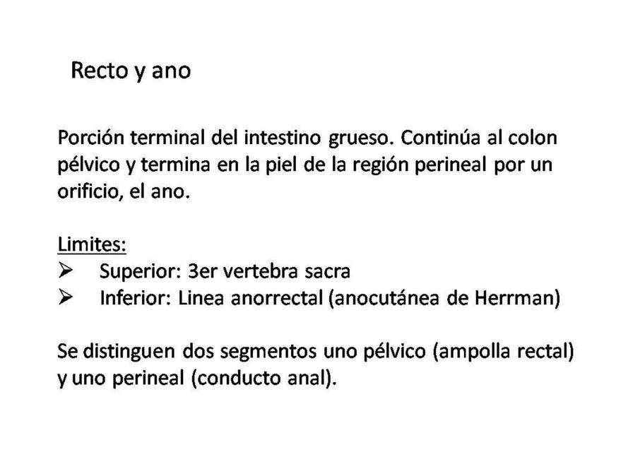 Perine imed | Nayra Yucra Flores | uDocz