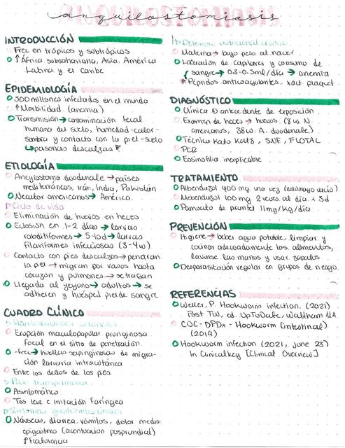 Anquilostomiasis resumen | IOVANNY CRUZ OJEDA | uDocz