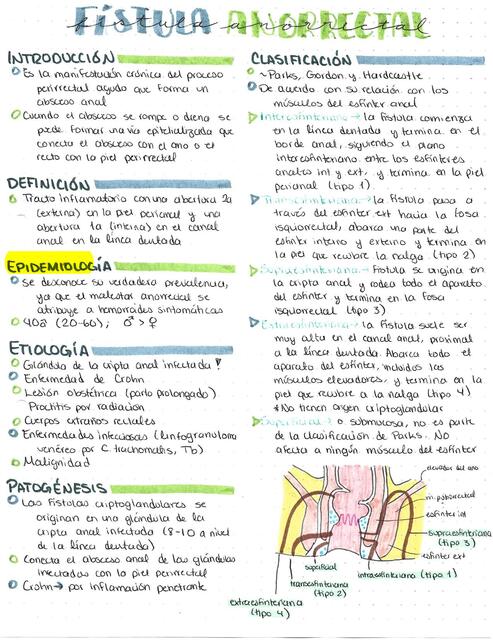 Fístula anorrectal resumen | IOVANNY CRUZ OJEDA | uDocz
