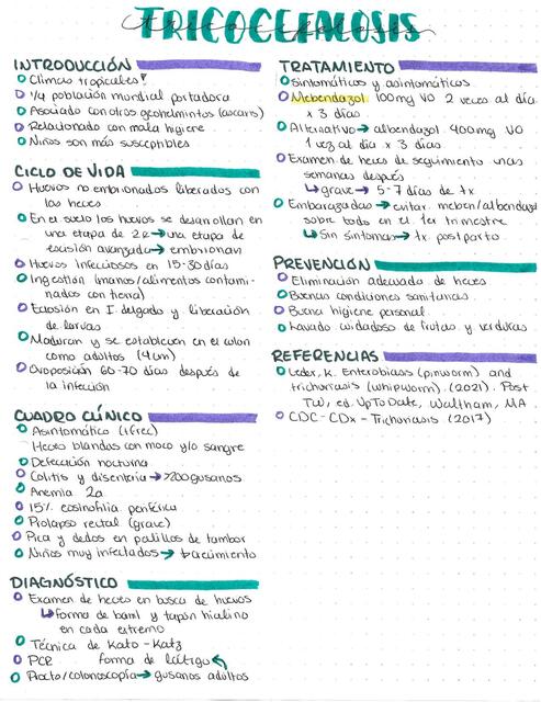 Tricocefalosis resumen | IOVANNY CRUZ OJEDA | uDocz