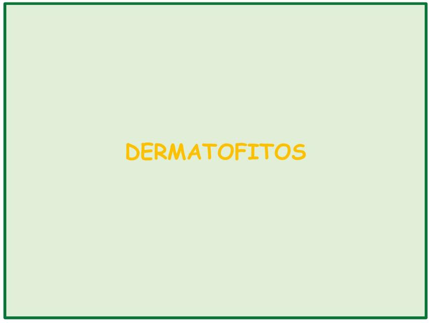 15. Dermatofitos | LiquidOH愛 | uDocz