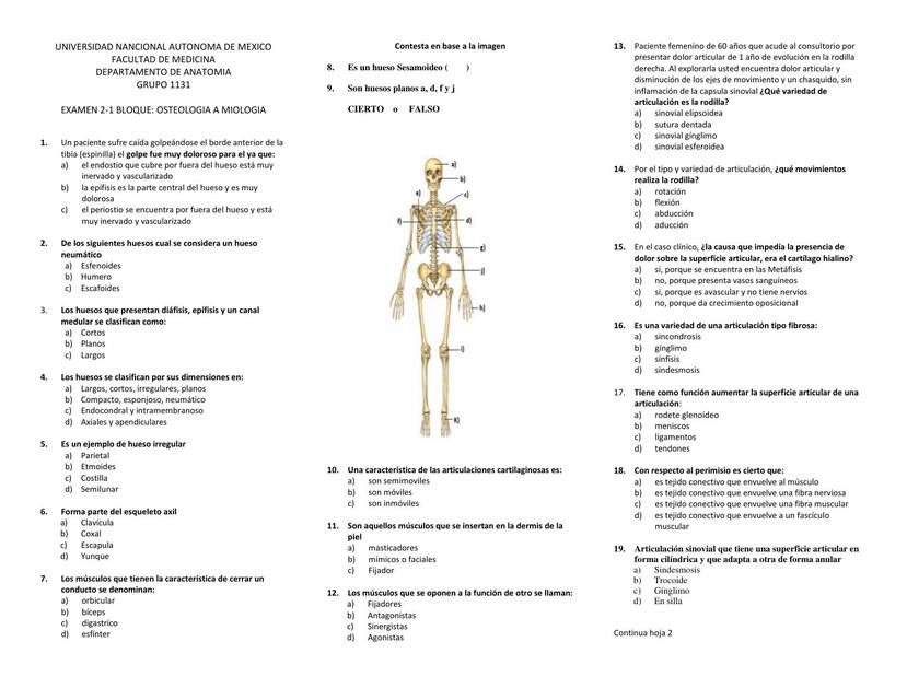 Osteología a Miología | Jessy González | uDocz