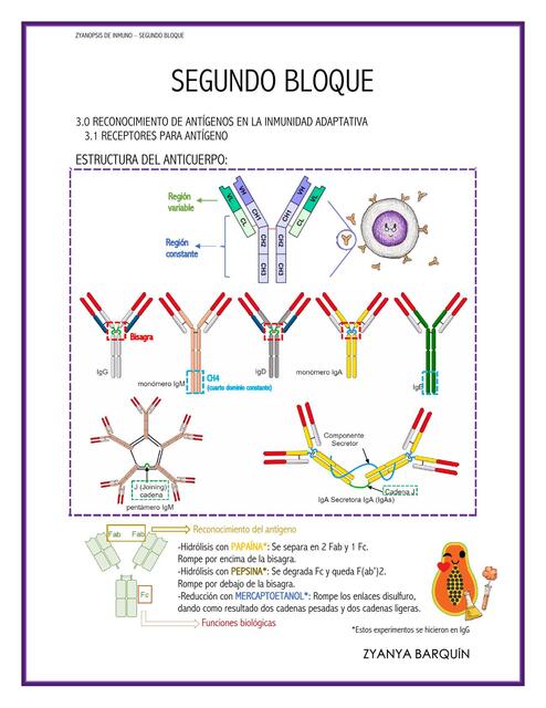 Sinopsis de inmune segundo bloque | Jessy González | uDocz