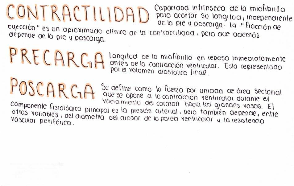 Contractilidad precarga y poscarga | Angélica Mena | uDocz