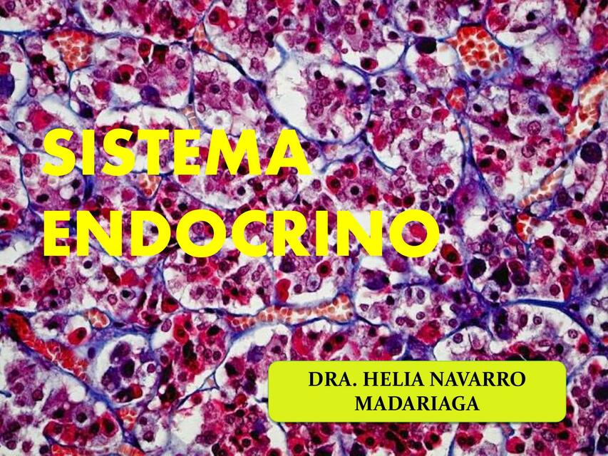 Histologia del sistema endocrino | IOVANNY CRUZ OJEDA | uDocz
