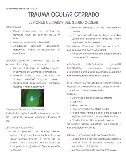 Trauma ocular cerrado y quemaduras oculares resumen | IOVANNY CRUZ ...
