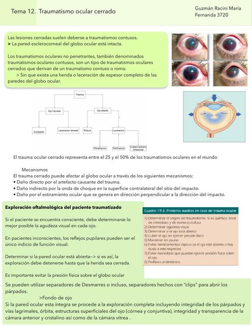 Trauma ocular cerrado y quemaduras oculares resumen | IOVANNY CRUZ ...