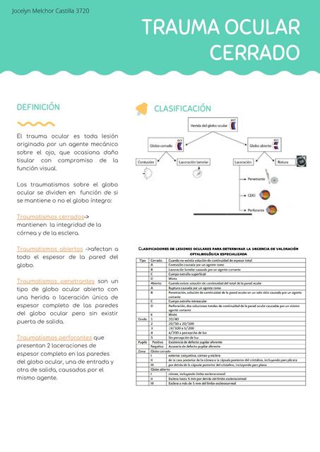 Trauma ocular cerrado y quemaduras oculares resumen | IOVANNY CRUZ OJEDA | uDocz