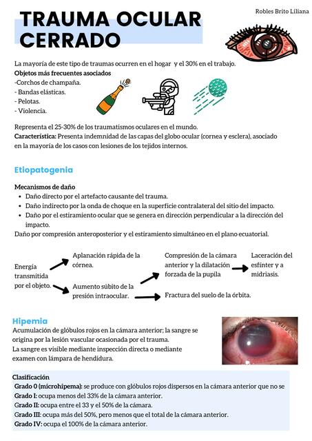 Trauma ocular cerrado y quemaduras oculares resumen | IOVANNY CRUZ ...