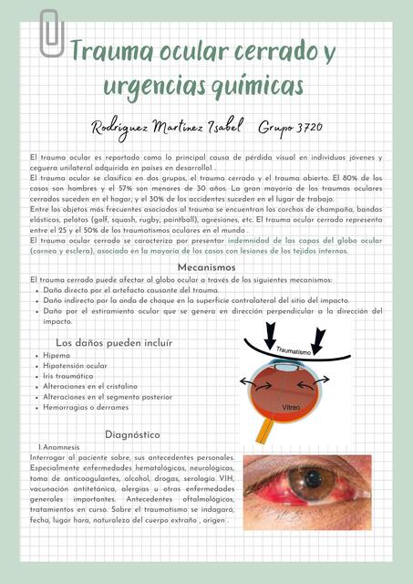 Trauma ocular cerrado y quemaduras oculares resumen | IOVANNY CRUZ OJEDA | uDocz