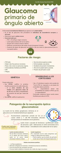 Glaucoma primario de angulo abierto resumen | IOVANNY CRUZ OJEDA | uDocz