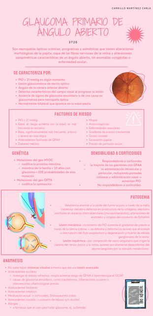 Glaucoma primario de angulo abierto resumen | IOVANNY CRUZ OJEDA | uDocz