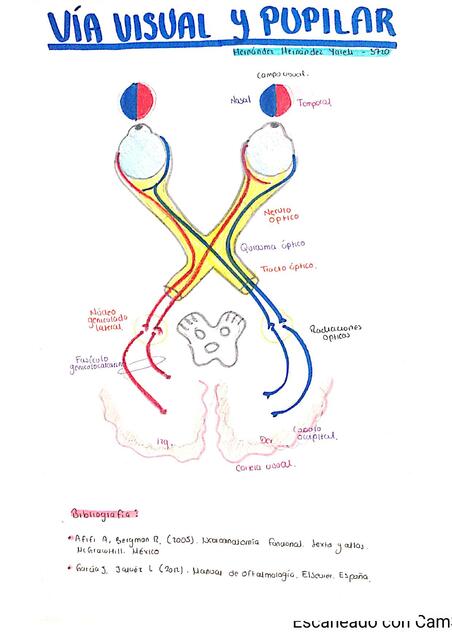 Vía visual | IOVANNY CRUZ OJEDA | uDocz