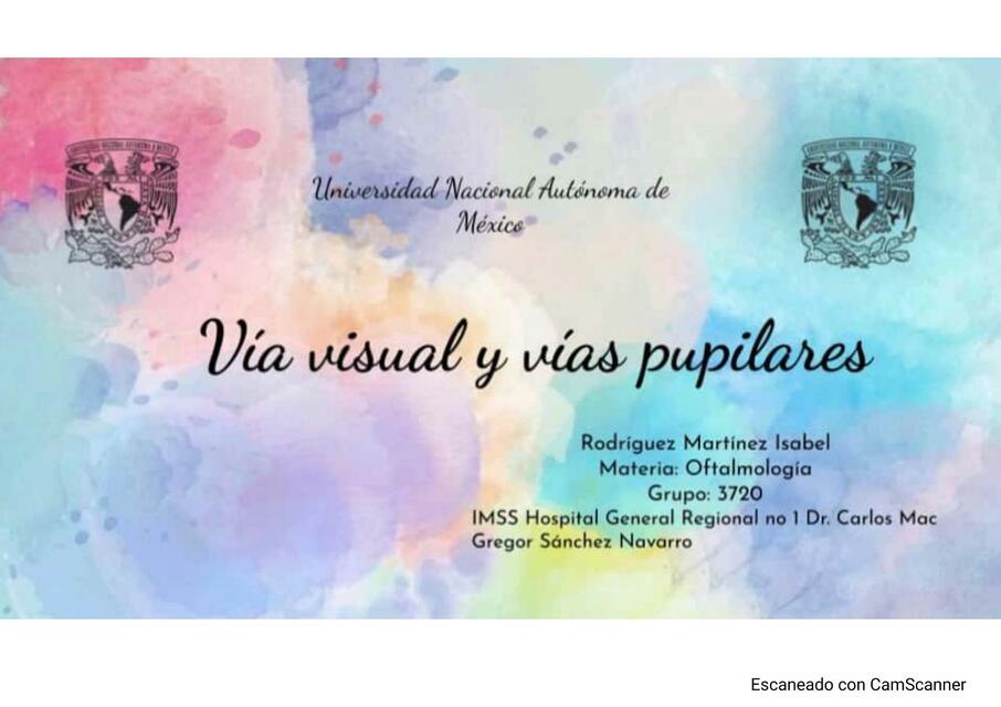 Vía visual y vías pupilares | IOVANNY CRUZ OJEDA | uDocz
