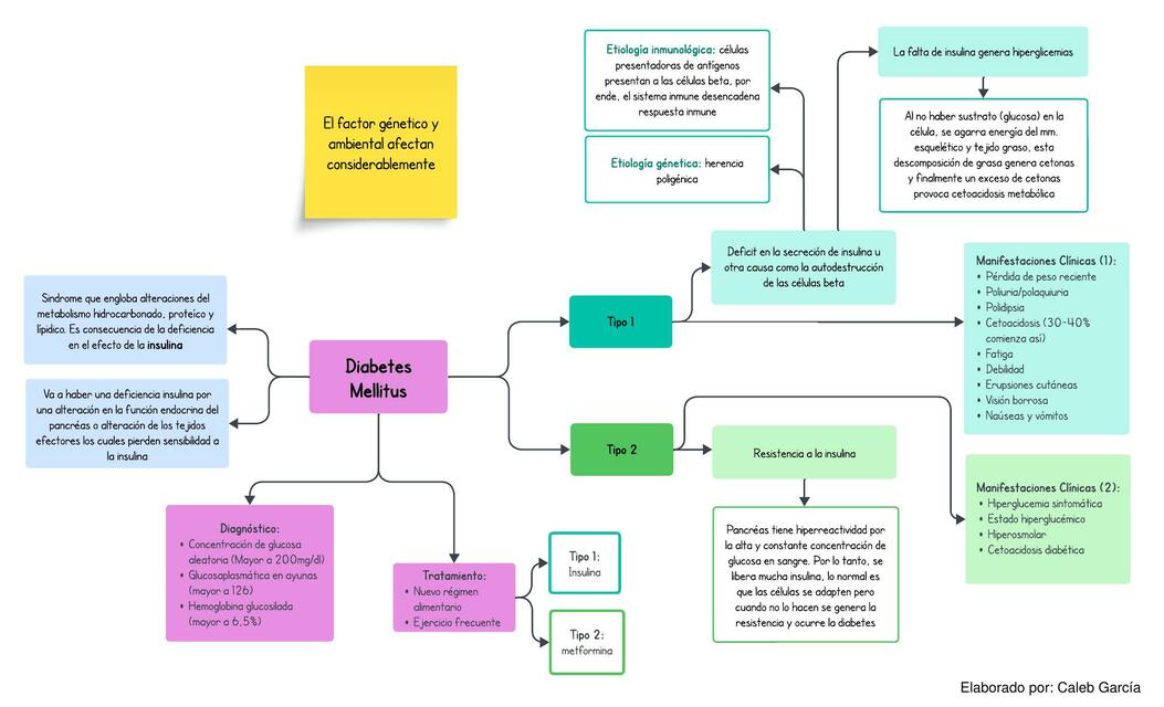 Mapa Mental sobre diabetes | Caleb García | uDocz