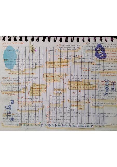 Mapa- fidelidad a todo lo humano | Sharon Velazquez.A | uDocz